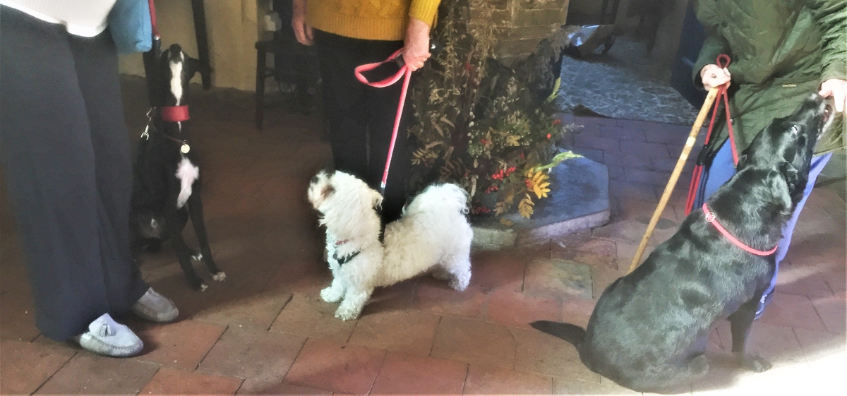 St Francis-tide Service - News - St Mary's, Kelling - A Church Near You