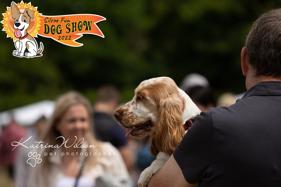 Silsoe Fun Dog Show - News - St James the Great, Silsoe - A Church Near You