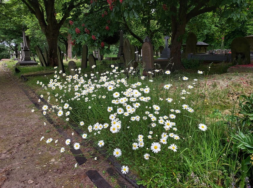 St. Michael's - a Gold Eco Award Church - News - Rushall S.Michael the ...