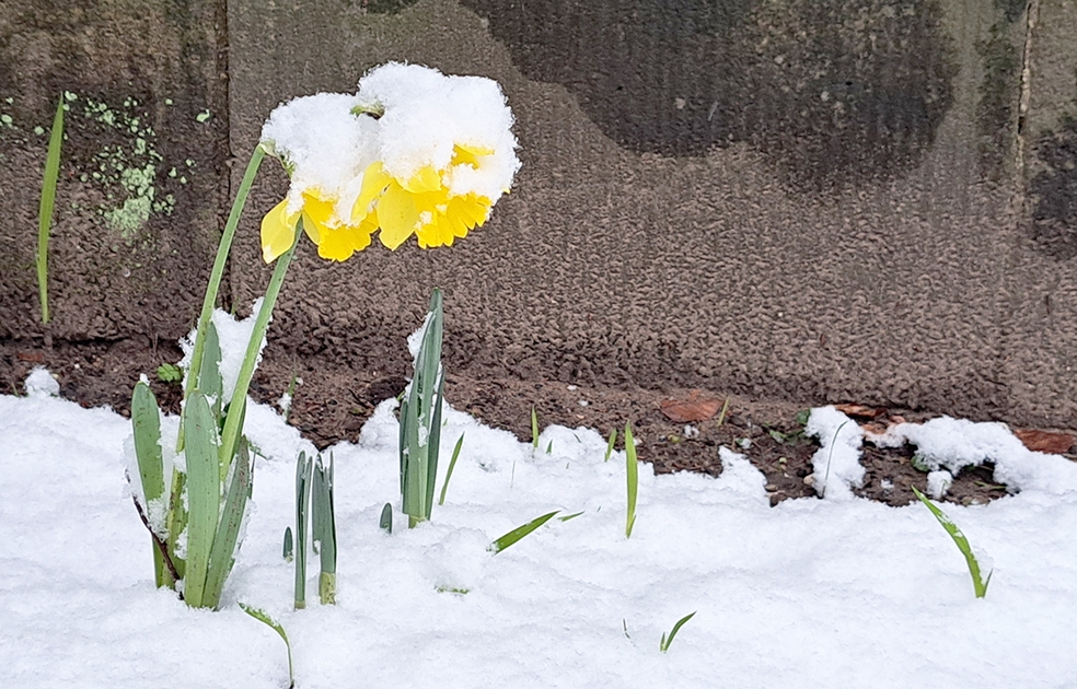 Brindle Voice February 2024 - News - Brindle St James - A Church Near You