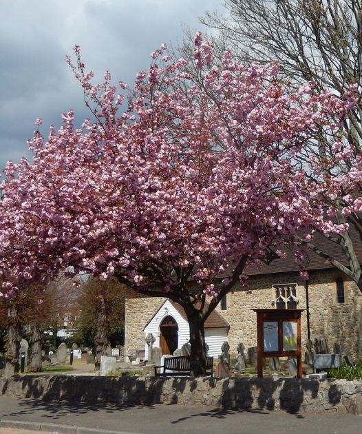 Helpers needed! - News - Hadleigh: St James the Less - A Church Near You