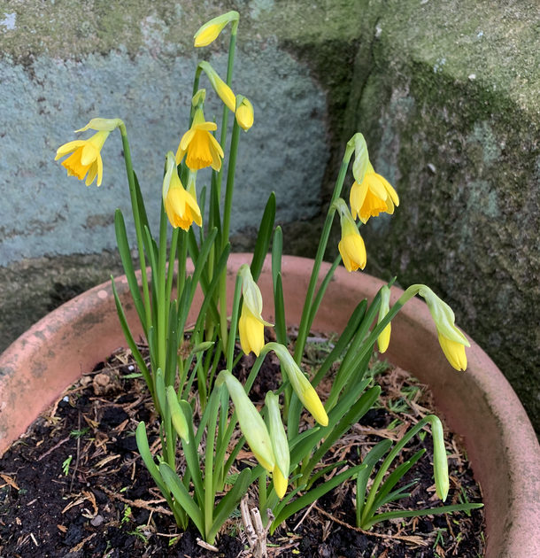 Weekly Letter 6th March 2022 - News - St Mary the Virgin, Trawden - A ...