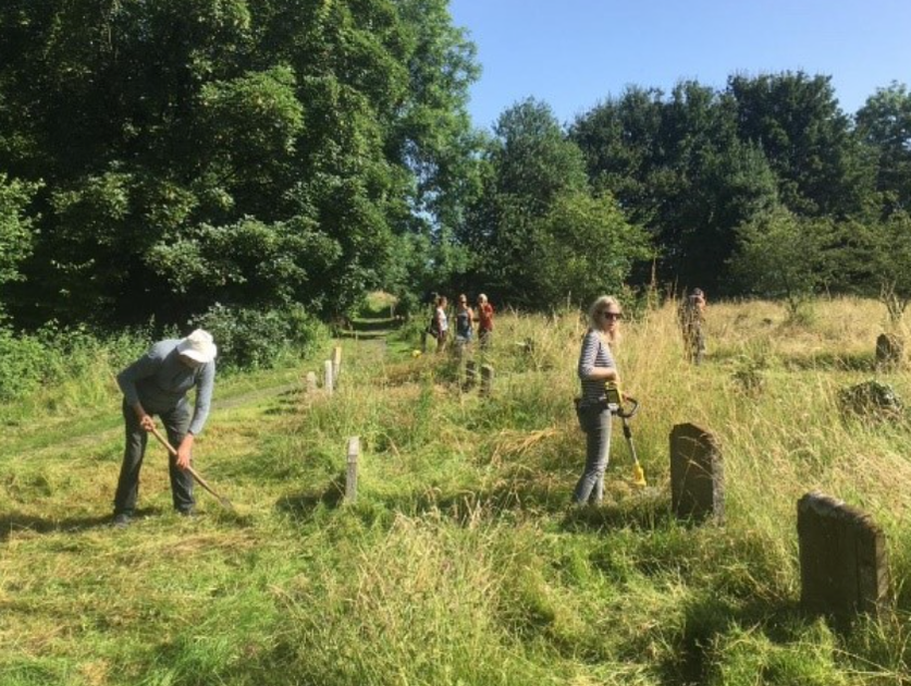 Continuing Impact in St Mary's Churchyard and Haughley, 2024 - News ...