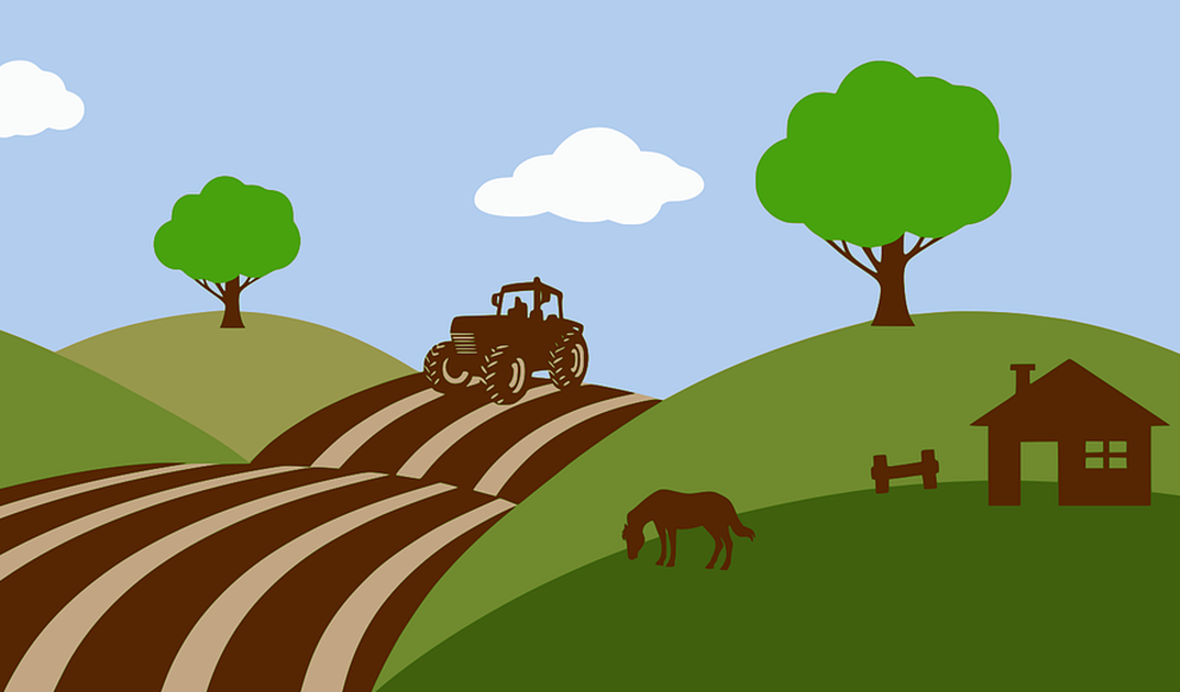 Plough Services - News - St James & St Paul, Marton - A Church Near You