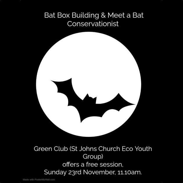 Bat Box Building and Meet a Bat Conservationist - News - St John's ...