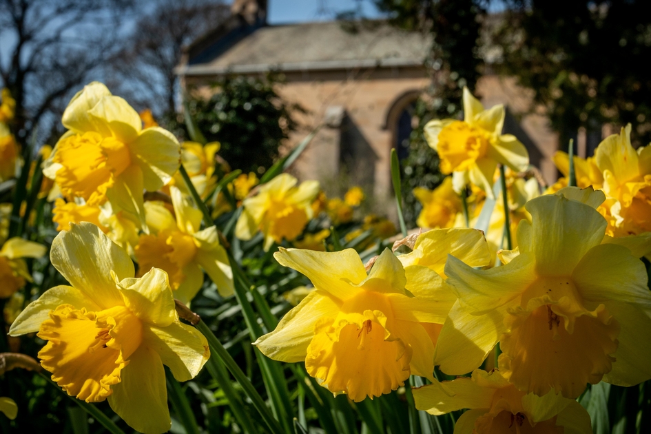 Church Services in St Peter's for March 2024 - News - Humshaugh St ...