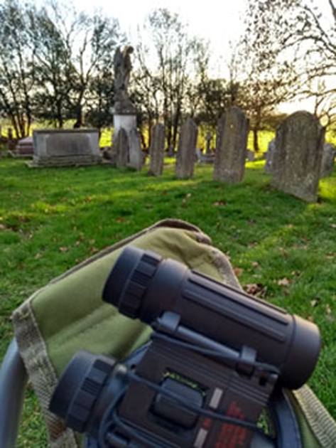 RSPB Big Garden Bird Watch - News - Little Burstead: St Mary the Virgin ...