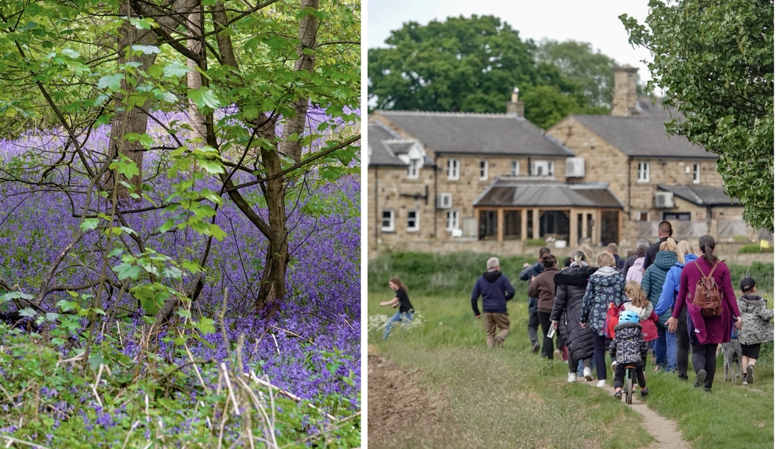Springtime Bluebell Walk - News - St. Oswald's Church, Methley - A ...